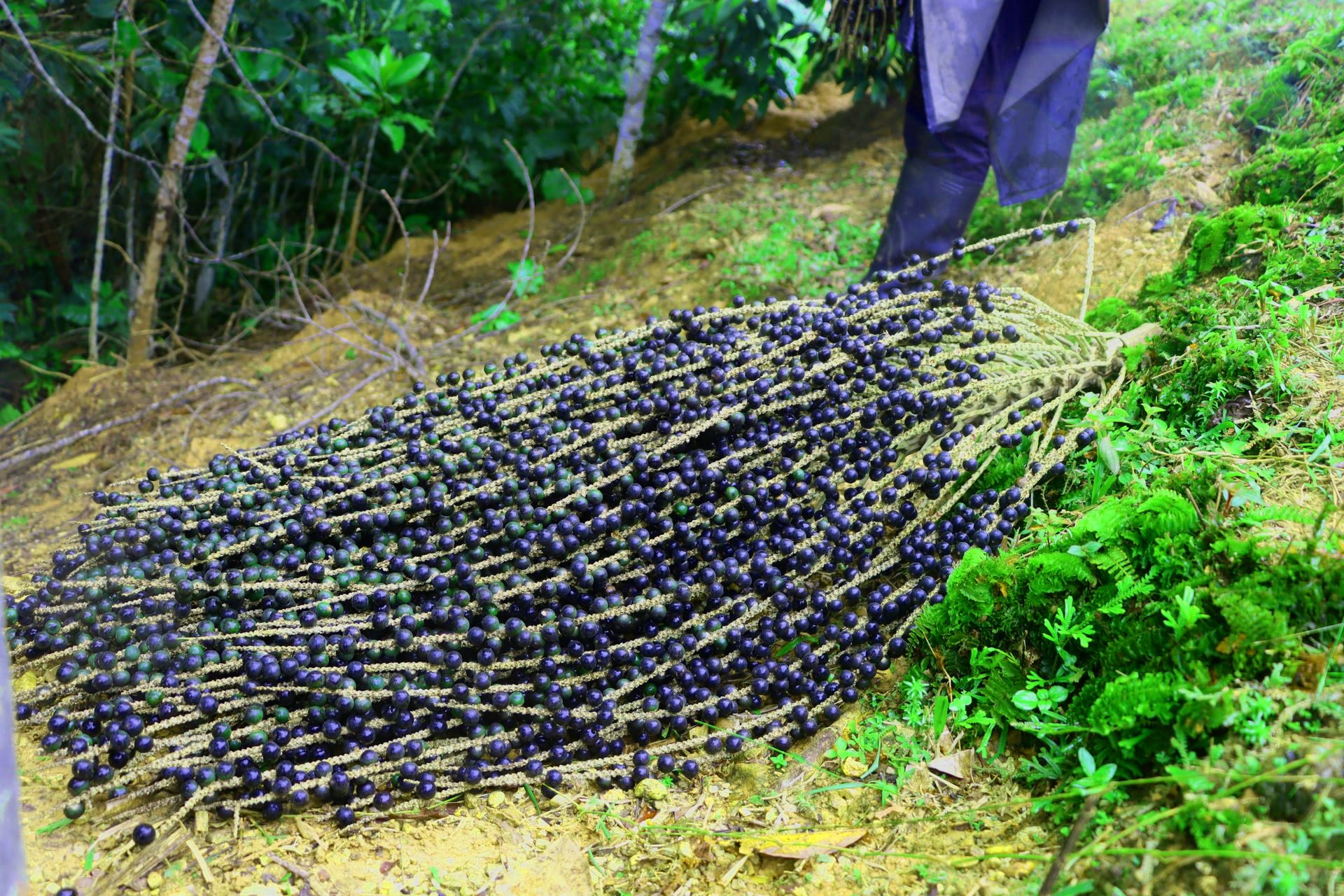 Index of /images/catalogue/574