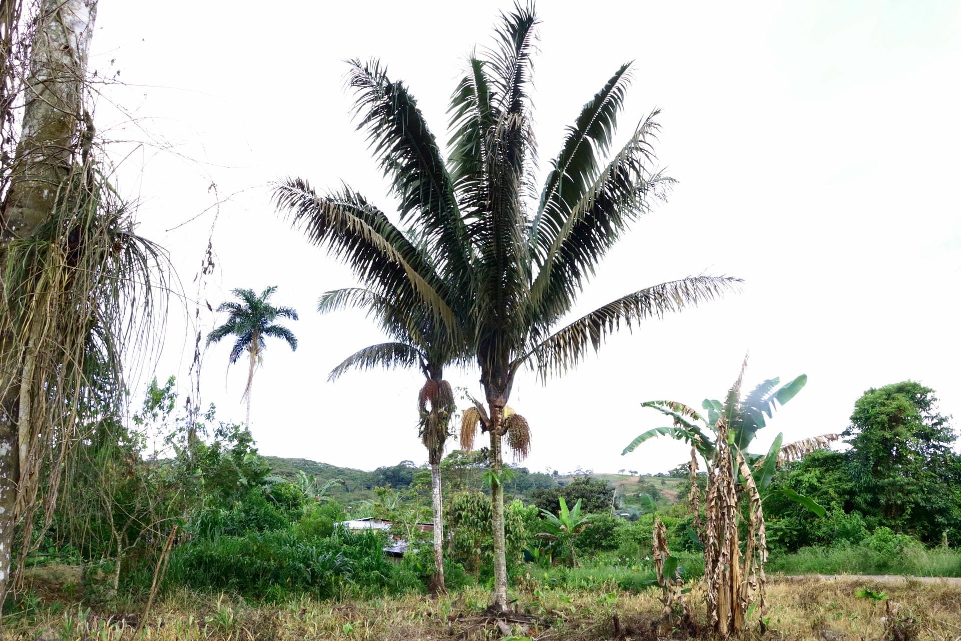 Index of /images/catalogue/605