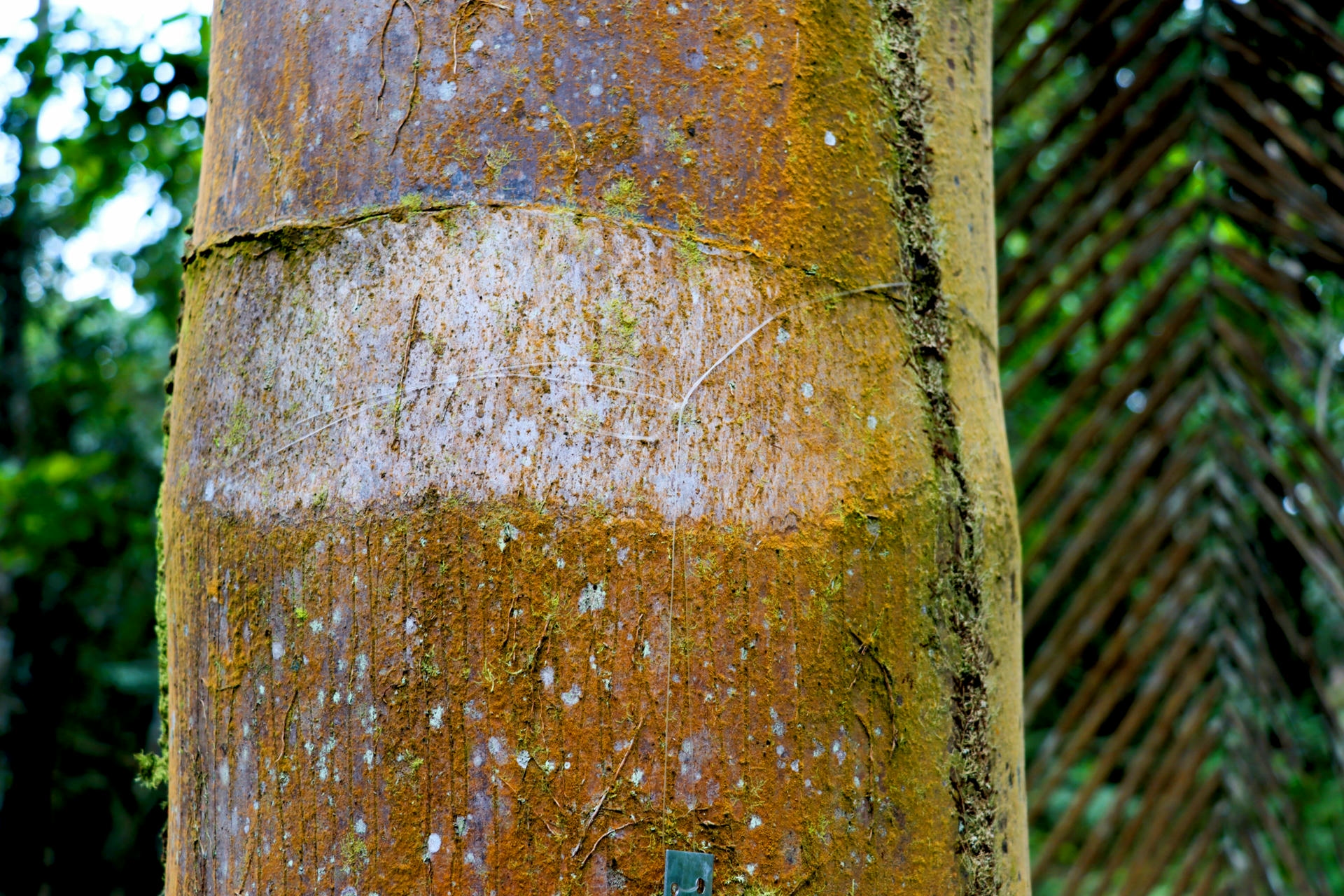 Index of /images/catalogue/605